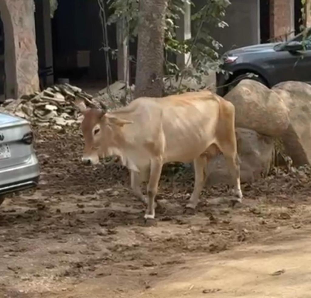 Has It Really Been a Year Already – mjwilliamz